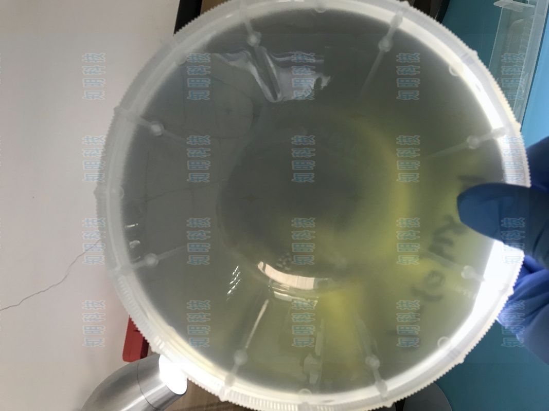 6 Inch 4H Silicon Carbide SiC Substrates Wafers For Device Epitaxial ...