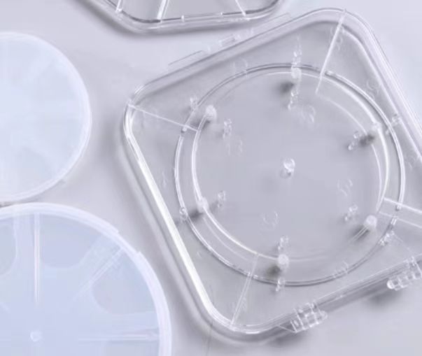 2inch 4inch 6inch Single Wafer Carrier Case Polycarbonate 10 Pieces / Pack